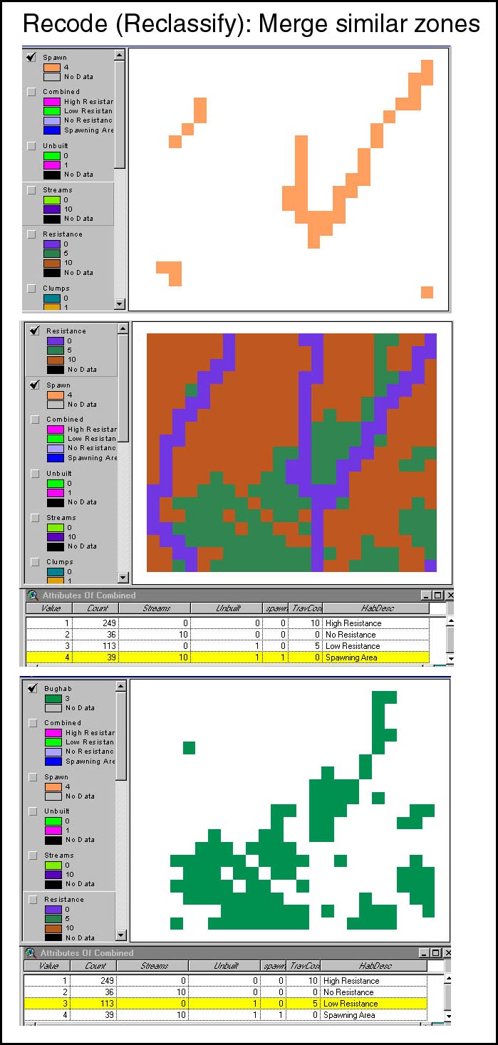 Areas defined by a common value in a given layer.
